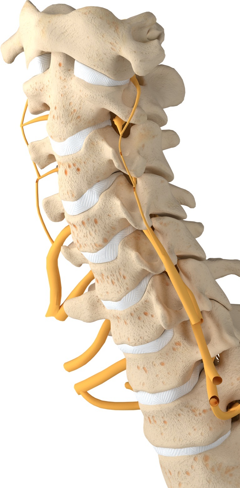 Cervical Artificial Disc Replacement | Benjamin Ditty M.D.